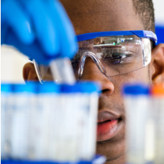 Athens Drive Magnet High School / Homepage